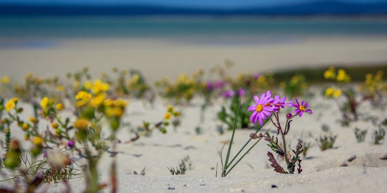 Join the The Beauty Of Nature Photo Contest and win Canon Mark III ...